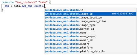 Show Data From Config And State Issue Hashicorp Vscode Terraform GitHub