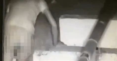 Watch An Unlucky Couple Have An Unfortunate Accident As They Attempt Sex In Public World News