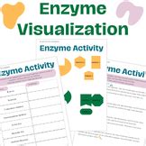 Enzyme Visualization Activity By Ms Ags Science Classroom Tpt