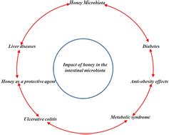 Honey Polyphenols Regulators Of Human Microbiota And Health Food Function RSC Publishing