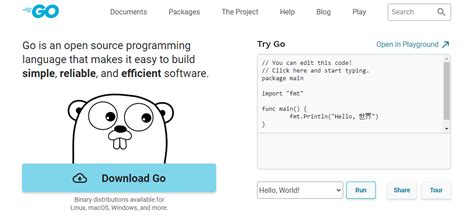 Top Golang Frameworks For Web Development In