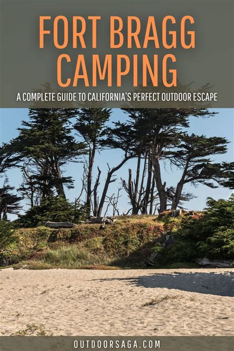 180 Camping Gear Ideas In 2025 Camping Camping Gear Camping Guide