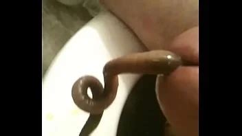 Gay Worm ThisVid Com