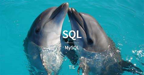 Mysql Sql