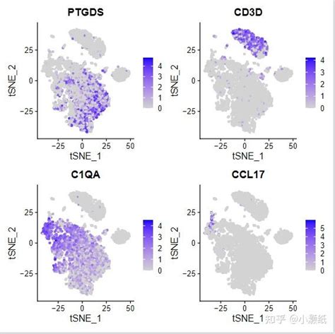 简单的单细胞分析流程 知乎 简单的单细胞分析流程 知乎