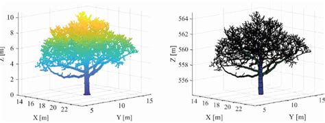 How Big Is That Tree Estimations Are Tricky But Terrestrial Laser Scanning Helps