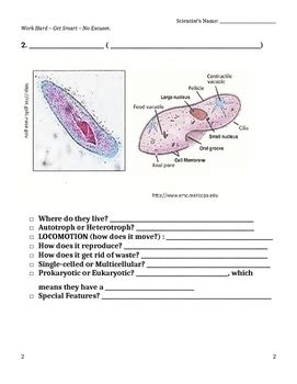 Protist Guided Notes By Bringing Science To Life TPT