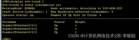 配置手工模式eth Trunketh Trunk Csdn博客 配置手工模式eth Trunketh Trunk Csdn博客