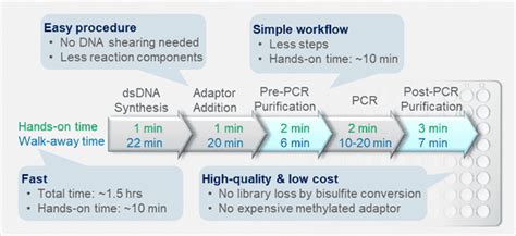 Bisulfite Sequencing Library Prep Kit 15 Hour Protocol