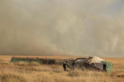 ОХУ ын талаас орж ирсэн ой хээрийн түймрийг унтраахаар ажиллаж байна Newswall