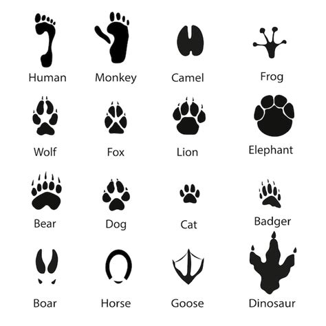 Premium Vector Animal Footprint Icons Set Simple Illustrations Of