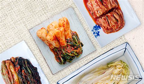 김치의 세계화를 위한 선도기술 국제 학술심포지엄 공감언론 뉴시스통신사