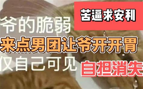 老韩娱人老猹在线寻找新激情，男团爱好者期待重回青春，望推荐 摆烂芝麻 摆烂芝麻 哔哩哔哩视频