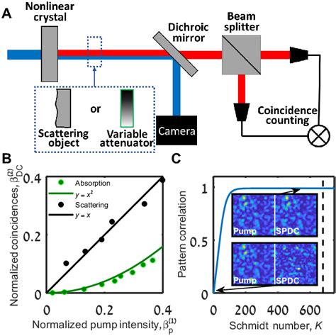 Quantum Versus Classical Efficiency A The Two Photon Coincidence Download Scientific Diagram