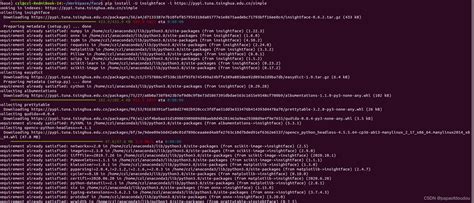 Insightface人脸特征识别模型环境搭建和试玩儿 Csdn博客