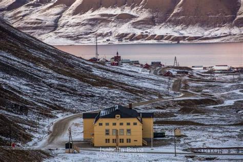 Pico Island Azores 17 Amazing Things To Do Travel Tips