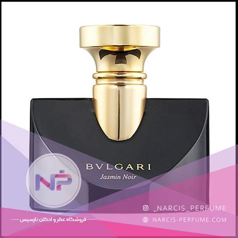 ادکلن جاسمین نویر شرکتی رایحه‌ای شرقی برای خانم‌های جذاب