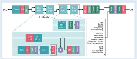 Figure 1 From Single Lead Electrocardiogram Artificial Intelligence
