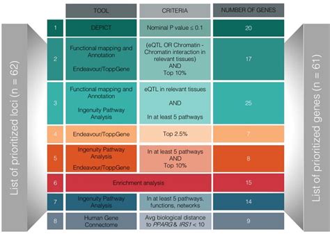 Gene Prioritization Tools And Genes Prioritized 61 Unique Candidate Download Scientific Diagram