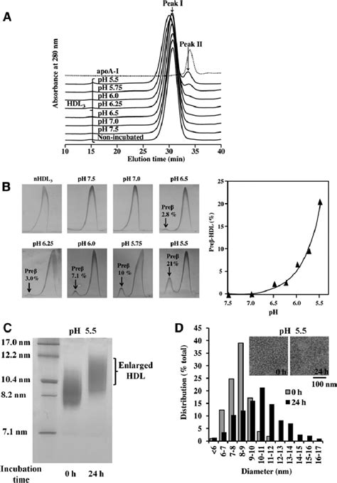 effect of ph on hdl 3 size and pre hdl formation a sec profi le of