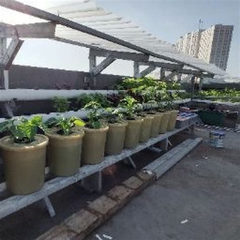 Adi Setiawan Youtube