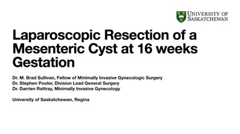 Laparoscopic Excision Of A Mesenteric Cyst At 16 Weeks