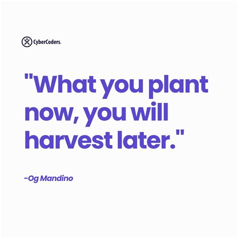cybercoders on linkedin cybercoders mondaymotivation motivationmonday