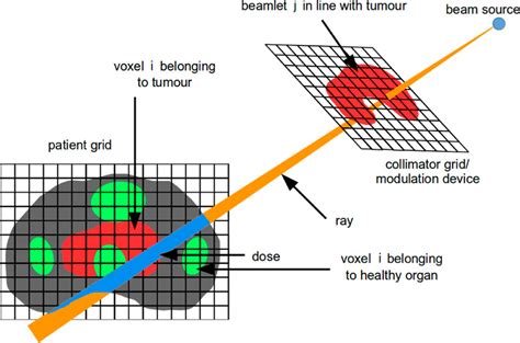 Patient And Collimator Discretizations For The Pencil Beam Matrix Download Scientific Diagram