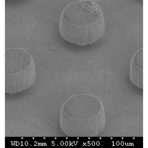 A Sem Image Of A Mold Of Microlens Array B Sem Image Of A Mold Of Download Scientific