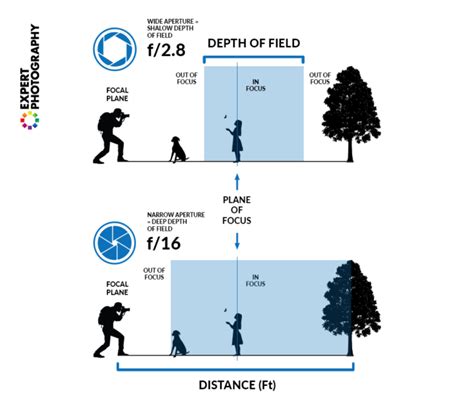 What Is Aperture And Why It Matters In Photography