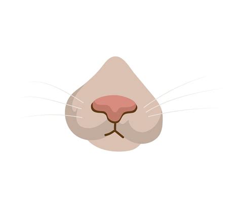 Vector Illustration Of Cat Nose 19021553 Vector Art At Vecteezy