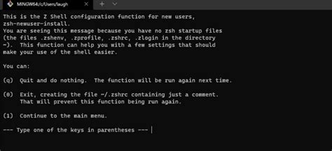 Windows Zsh 安装推荐nushell Blog