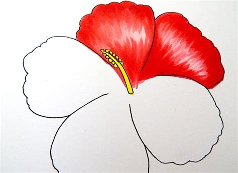 Bunga Raya Drawing Easy Hibiscus Coloring Page Flower Outline Flower Drawing Flower Outline