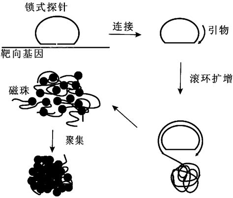 Method For Detecting Nucleic Acid Eureka Patsnap