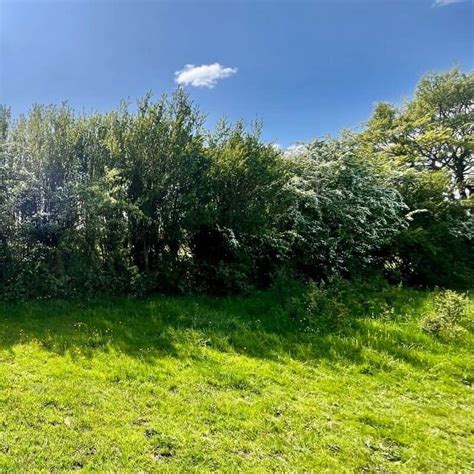 Doosan Dx63 Tonne Digger Nimrod Environmental Services