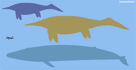 Shonisaurus Size