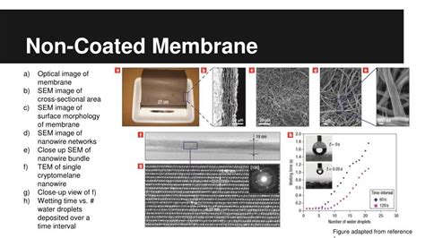 Ppt Superwetting Nanowire Membranes For Selective Absorption