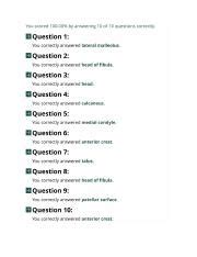 Understanding The Basics Of Study Documents Course Hero