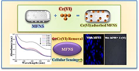 掺gd（iii）的勃姆石纳米颗粒：用于荧光传感废水和活细胞中cr（vi）的新兴材料 Inorganic Chemistry X Mol