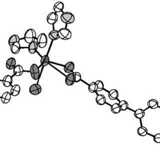 Fragment Of The Polymer Chain In The Structure Of 1 50 Probability Download Scientific
