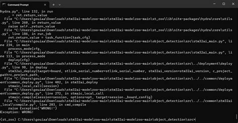 Solved Modelzoo Deployment Error Stmicroelectronics Community
