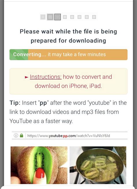 This Youtube Downloader Website Suggesting To Insert ‘pp To Download Faster R Funny