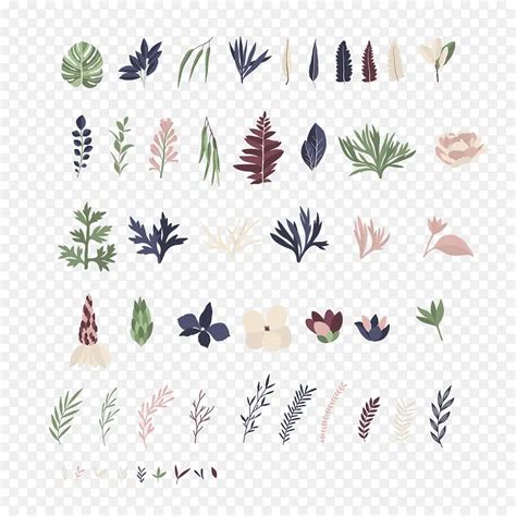 唯美植物合集矢量PNG图片素材下载 图片编号qzbamgkq 免抠素材网