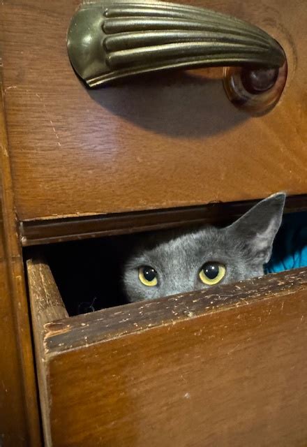 Dont Be Part Of The Problem Be The Whole Problem Album On Imgur