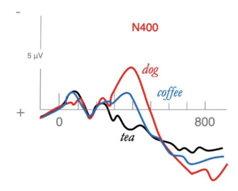 7 Language Flashcards Quizlet 7 Language Flashcards Quizlet