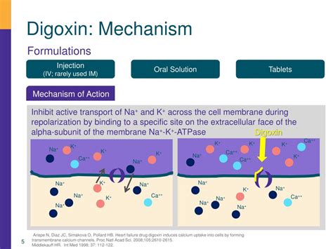 Ppt Digoxin Toxicity Powerpoint Presentation Free Download Id2656815