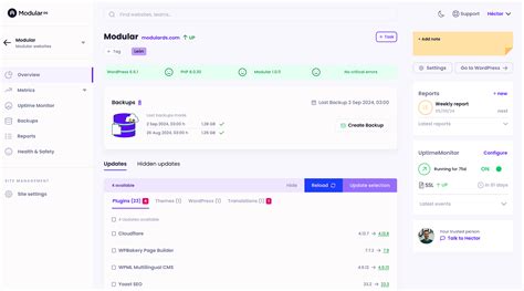 Modular Ds Manage All Your Websites From A Single Dashboard Wordpress Plugin