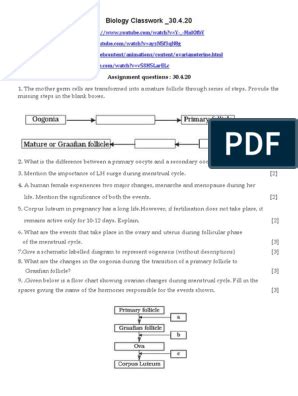 Female Orgasm Mastery Workbook Manual Pdf Sexuality Mammal Reproductive System Artofit