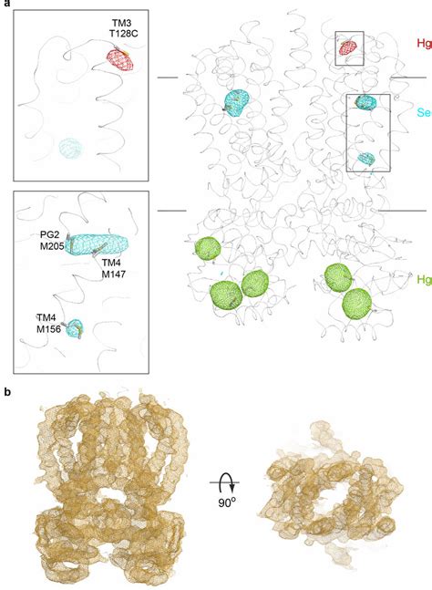 Anomalous Difference And Experimental Electron Density Maps A Heavy Download Scientific