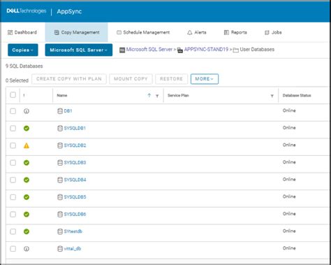 Discovering Sql Server Databases In Appsync Integrated Copy Data